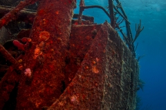 Reflections on the RMS Rhône wreck - My Dive Travels